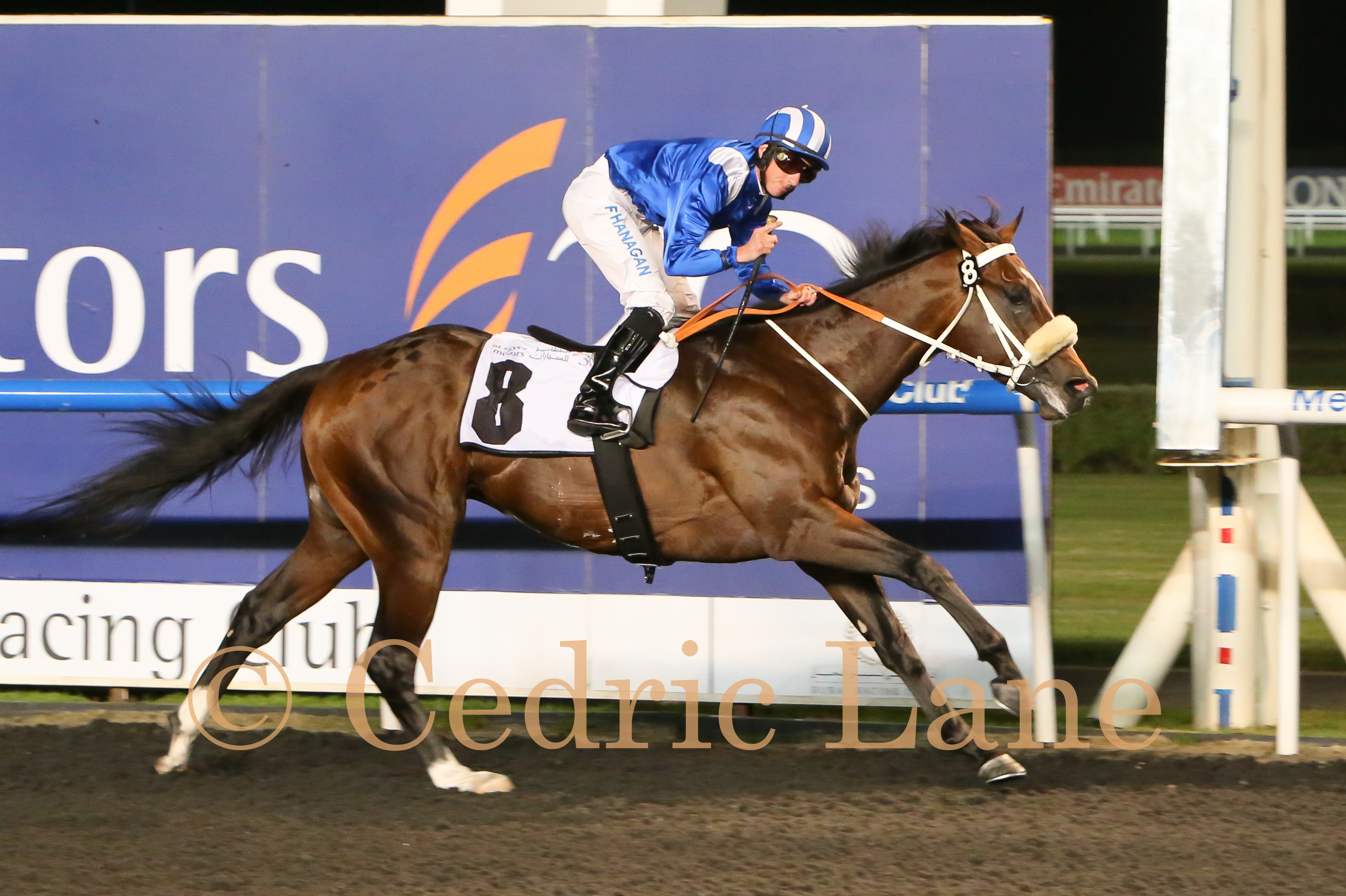 Impressive debut winner for Soft Falling Rain | Cape Breeders Club