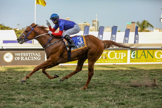 Trippi stars shine in Scottsville features | Cape Breeders Club
