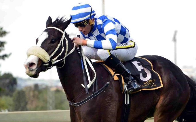 Querari filly shines in Starling Stakes win | Cape Breeders Club